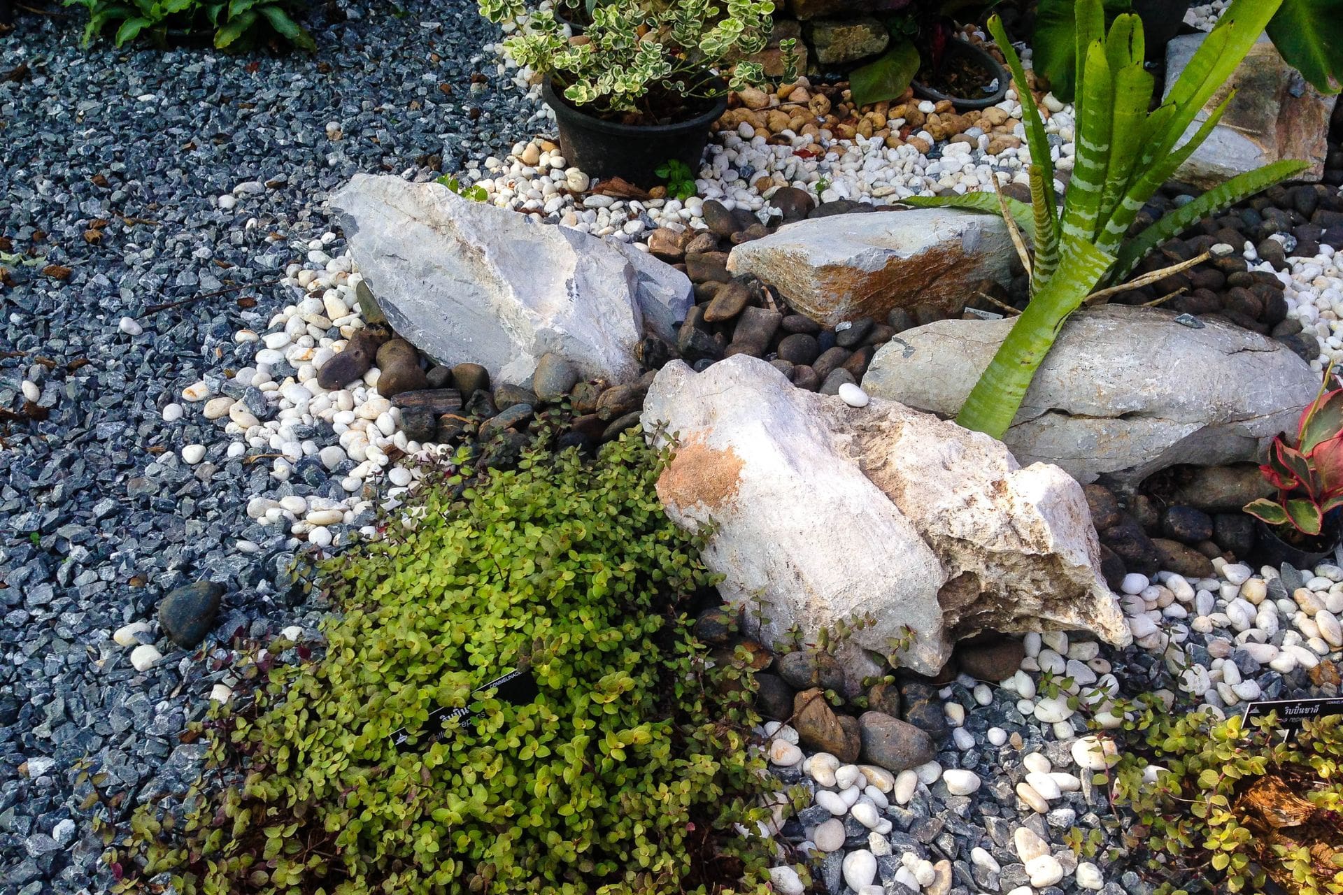 Stunning Rock Beds Installation | Frankfort, Mokena, New Lenox IL